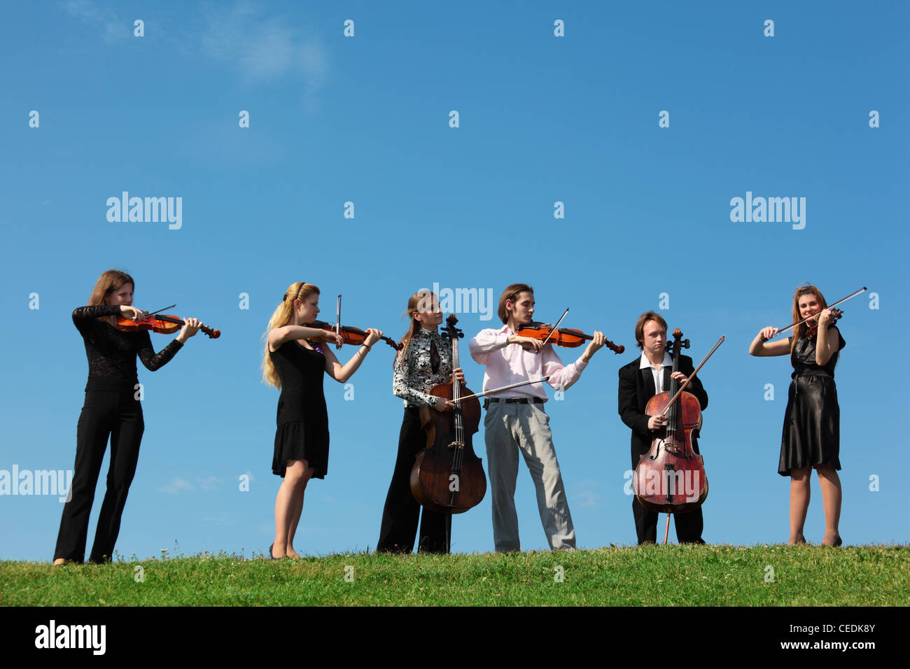 Group of violins hi-res stock photography and images - Alamy