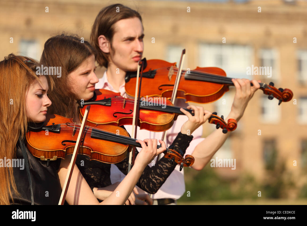 trio of violinists plays outdoor Stock Photo - Alamy
