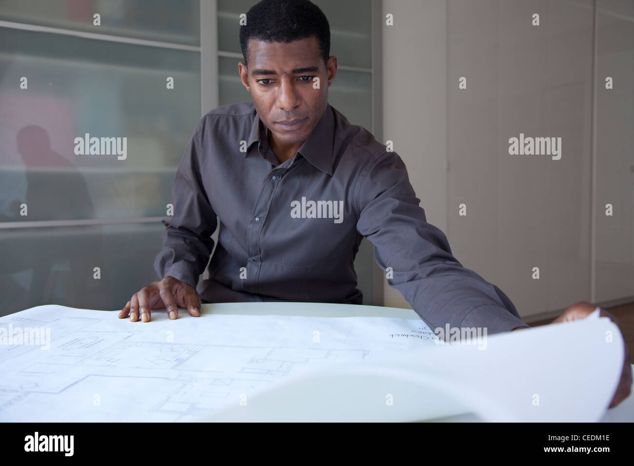 Black businessman reviewing blueprints Stock Photo - Alamy