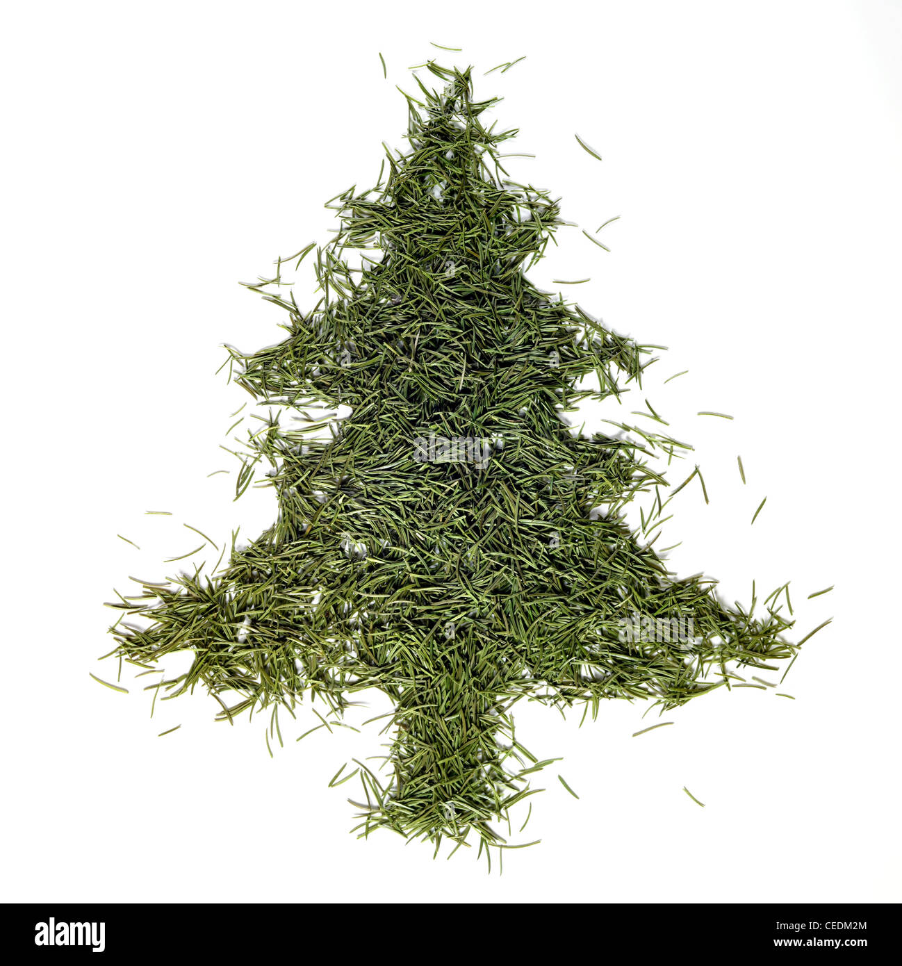 studio photography of a christmas tree made of fir needles seen from ...