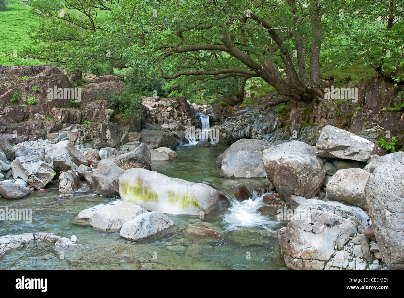 Galleny force hi-res stock photography and images - Alamy