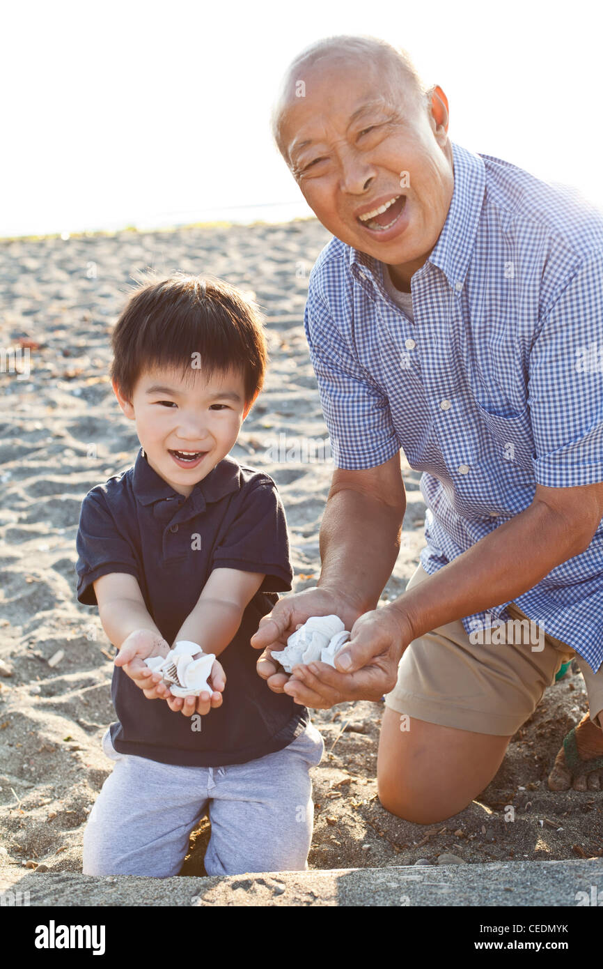 Chinese grandfather and grandson gathering shells on beach Stock Photo ...