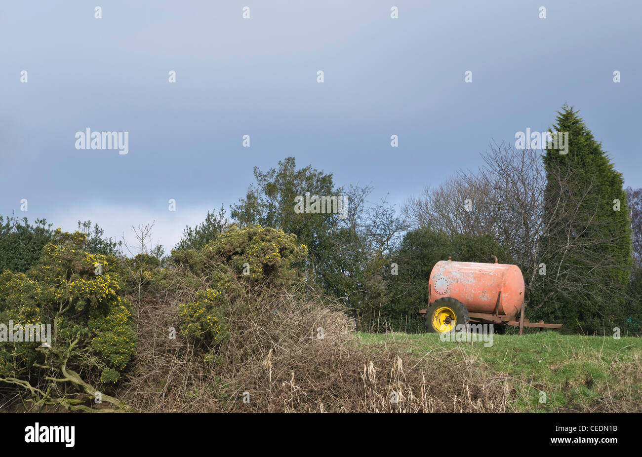 animal drinking water bowser in a farm field Stock Photo - Alamy