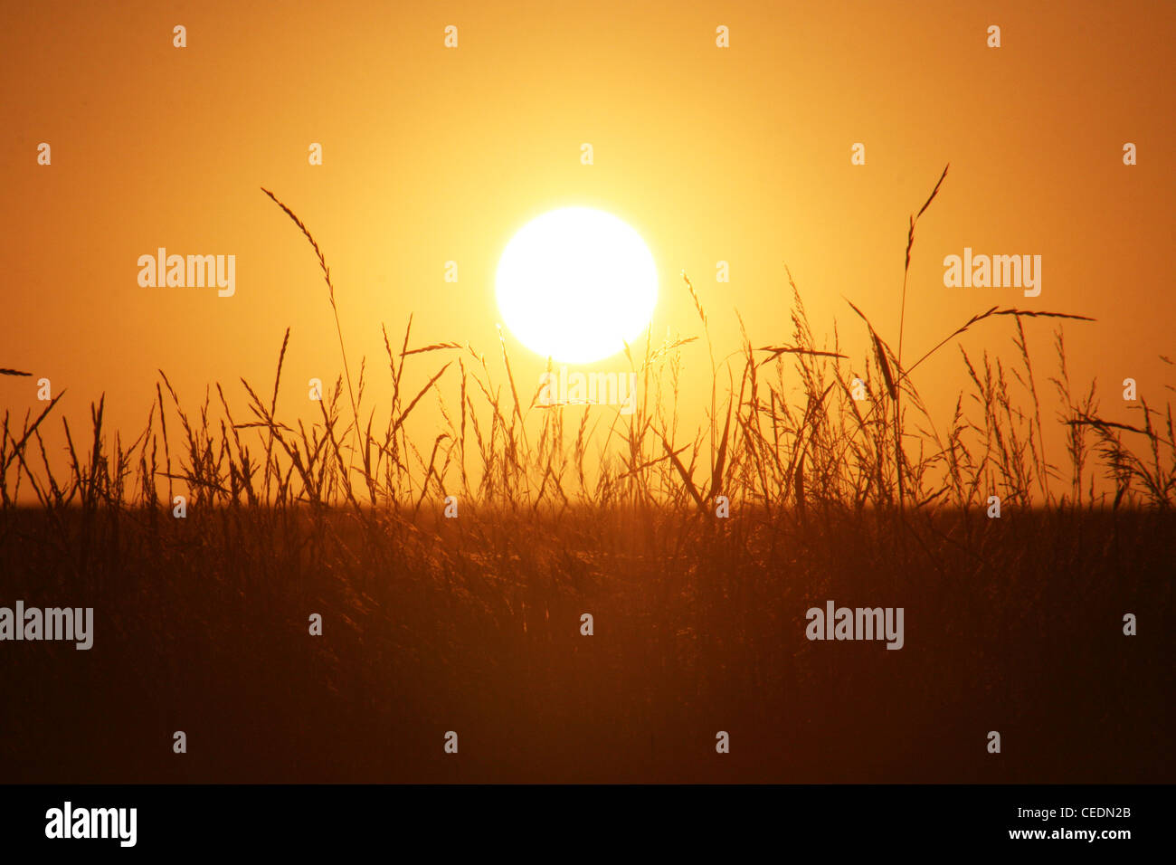 Ukraine sunset hi-res stock photography and images - Alamy