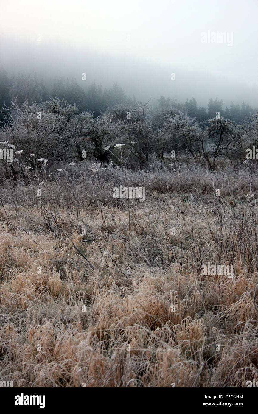 Early morning mist Stock Photo - Alamy