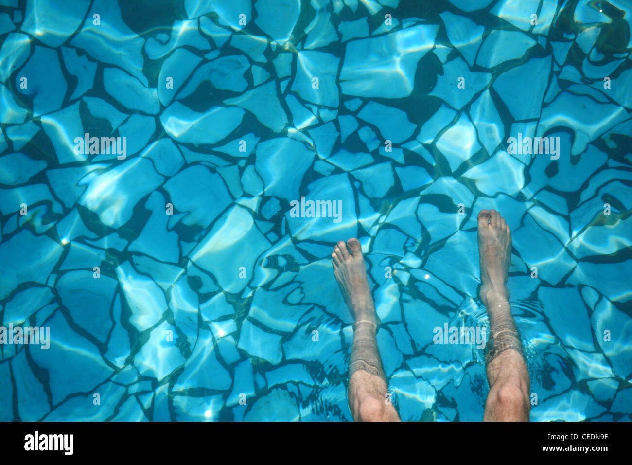 two legs in water, focus on pool Stock Photo - Alamy
