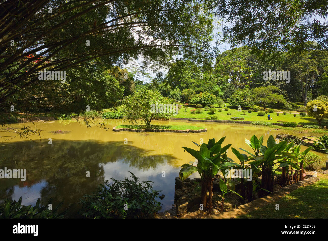 The lake by South Drive in the 60 hectare Royal Botanic Gardens (Sri ...