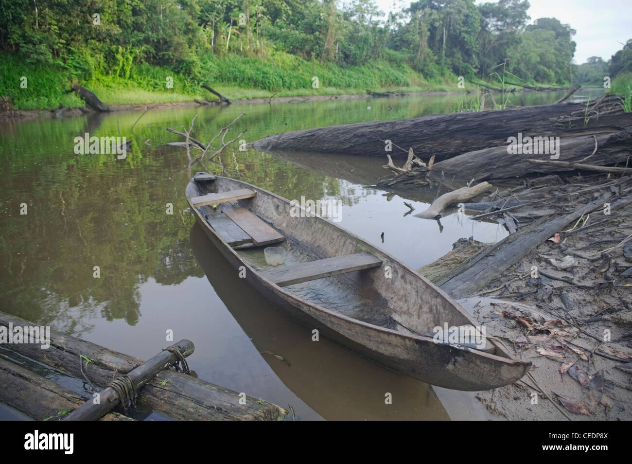 Peru samiria national reserve yarina hi-res stock photography and ...
