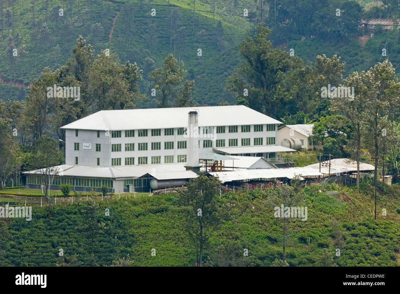 Newburgh Estate factory amidst Uva tea plantation, now refitted to ...