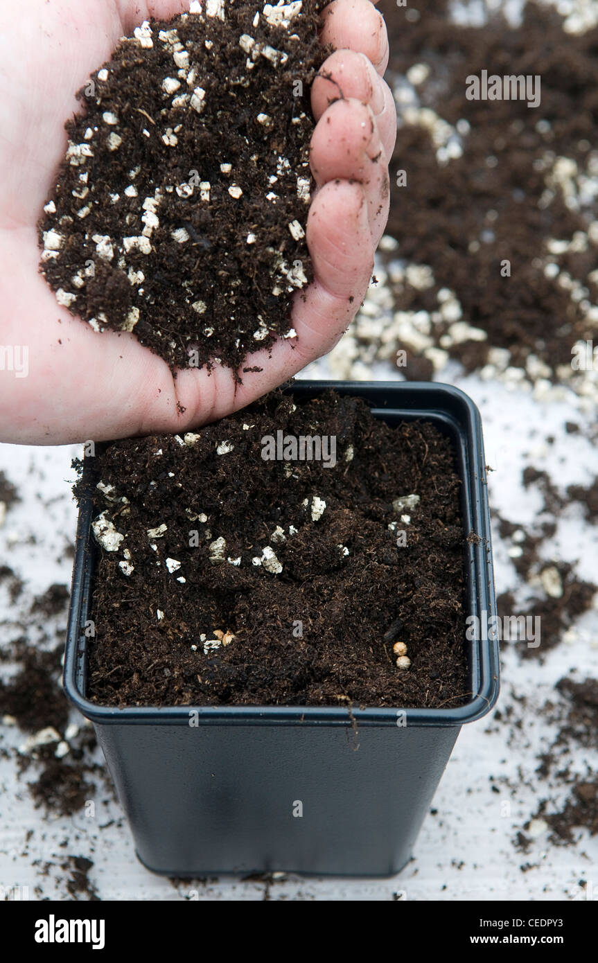 Compost pot hi-res stock photography and images - Alamy