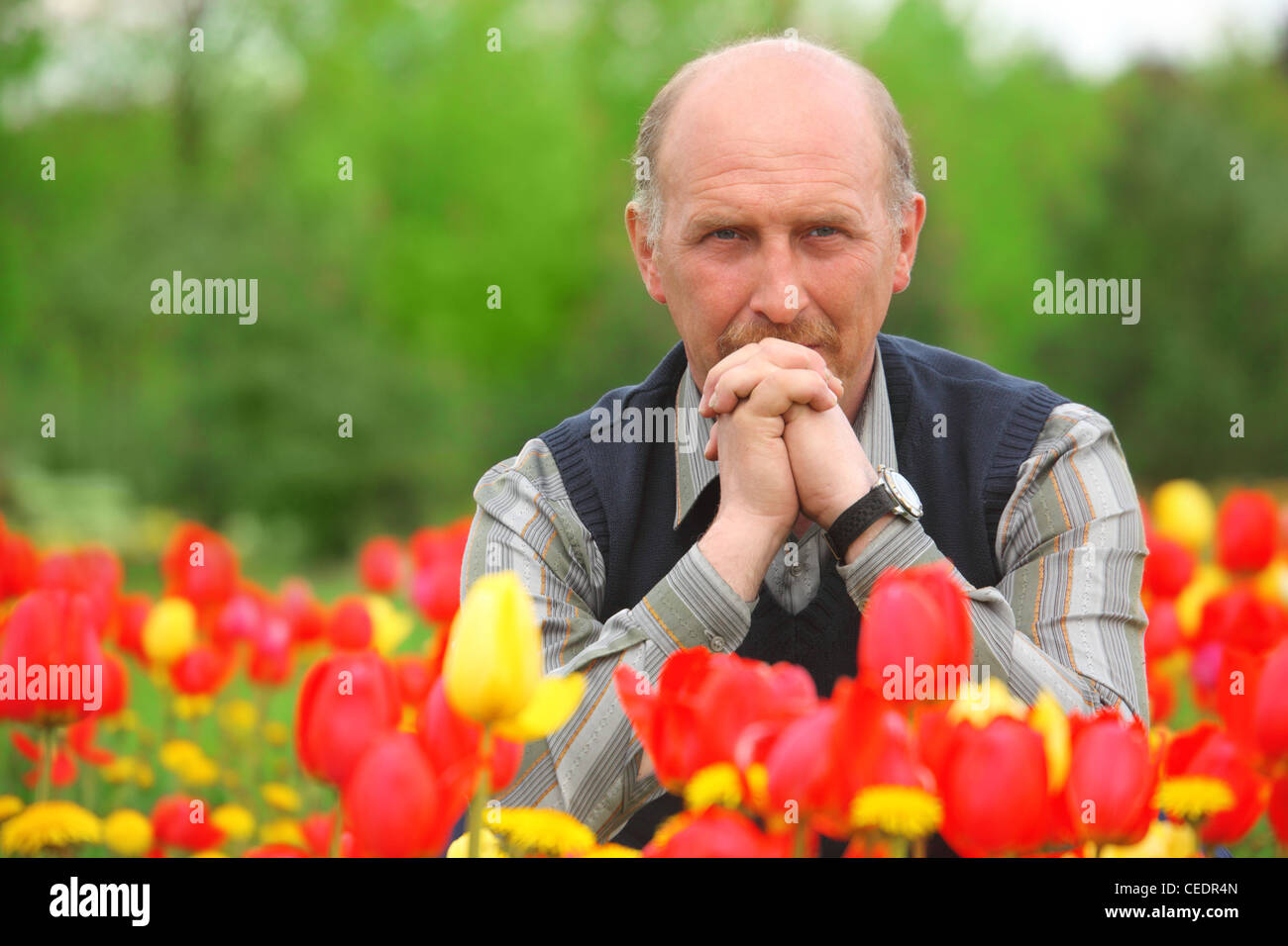 Man sits on field hi-res stock photography and images - Alamy