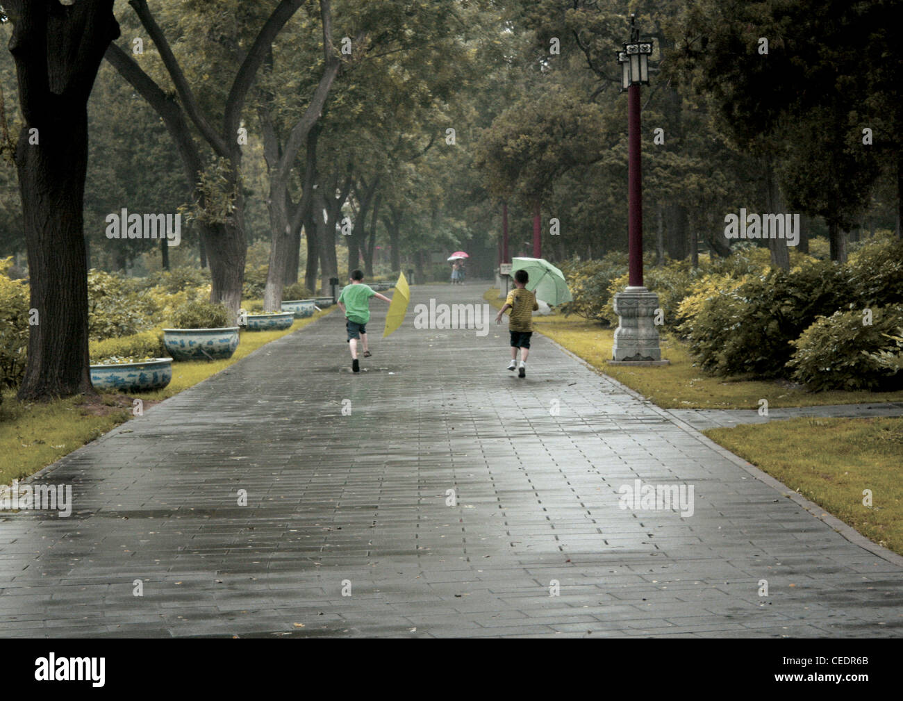 Running through the park Stock Photo - Alamy