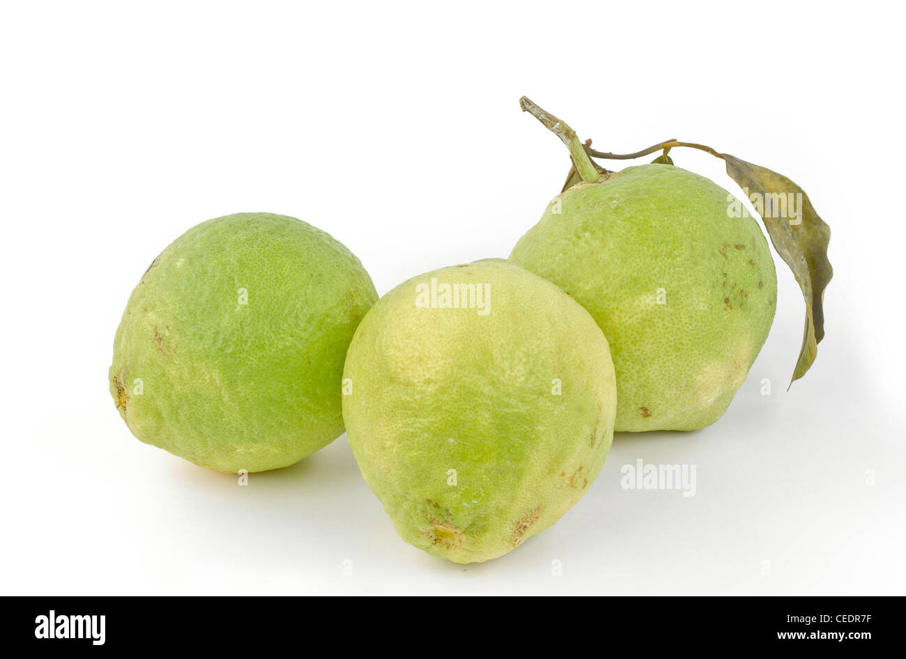 Cedro hi-res stock photography and images - Alamy