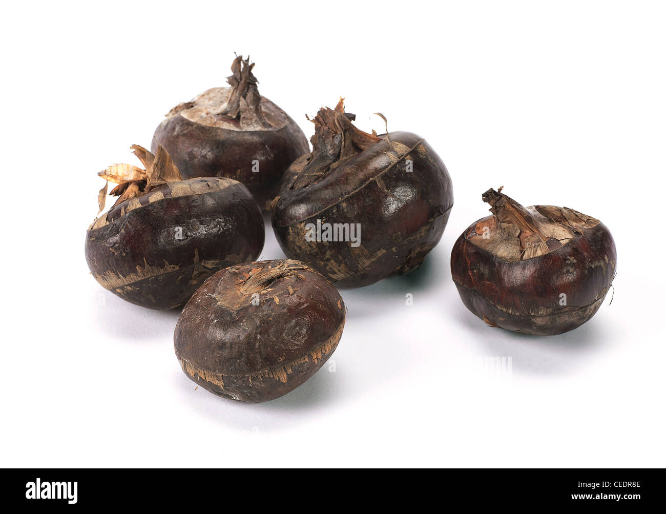 Water chestnuts whole hi-res stock photography and images - Alamy