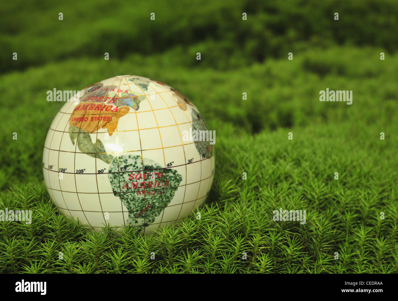 Earth save tree symbol hi-res stock photography and images - Alamy