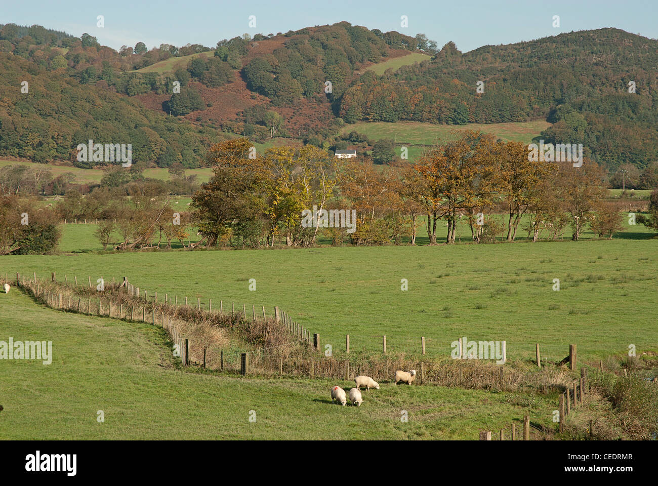 A487 hi-res stock photography and images - Alamy