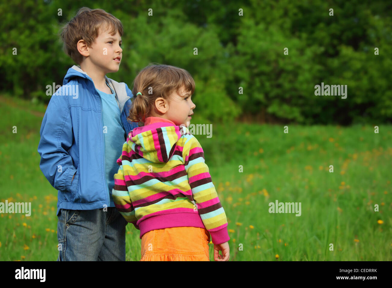 kids at green meadow near forest Stock Photo - Alamy