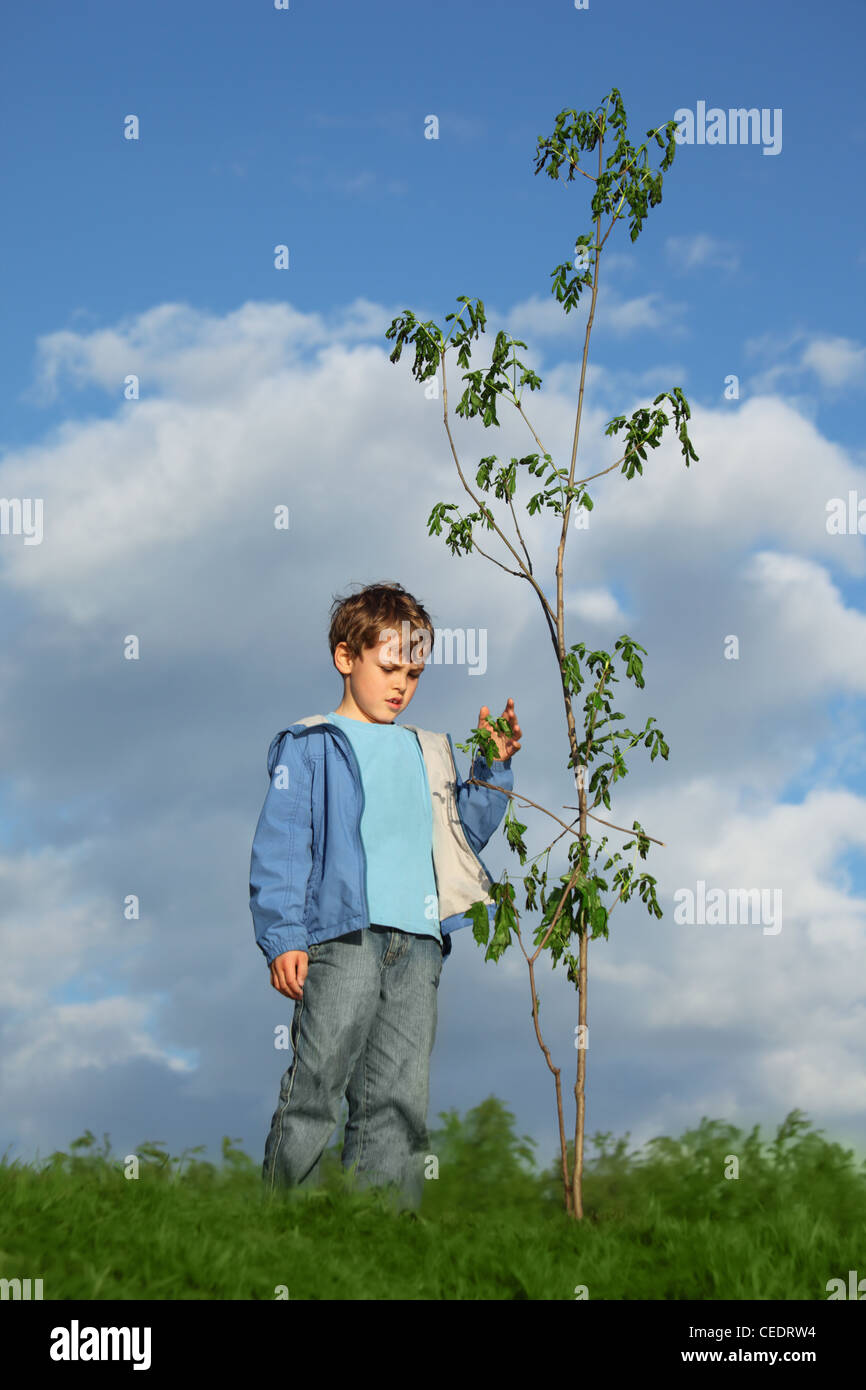 boy plants the tree Stock Photo - Alamy