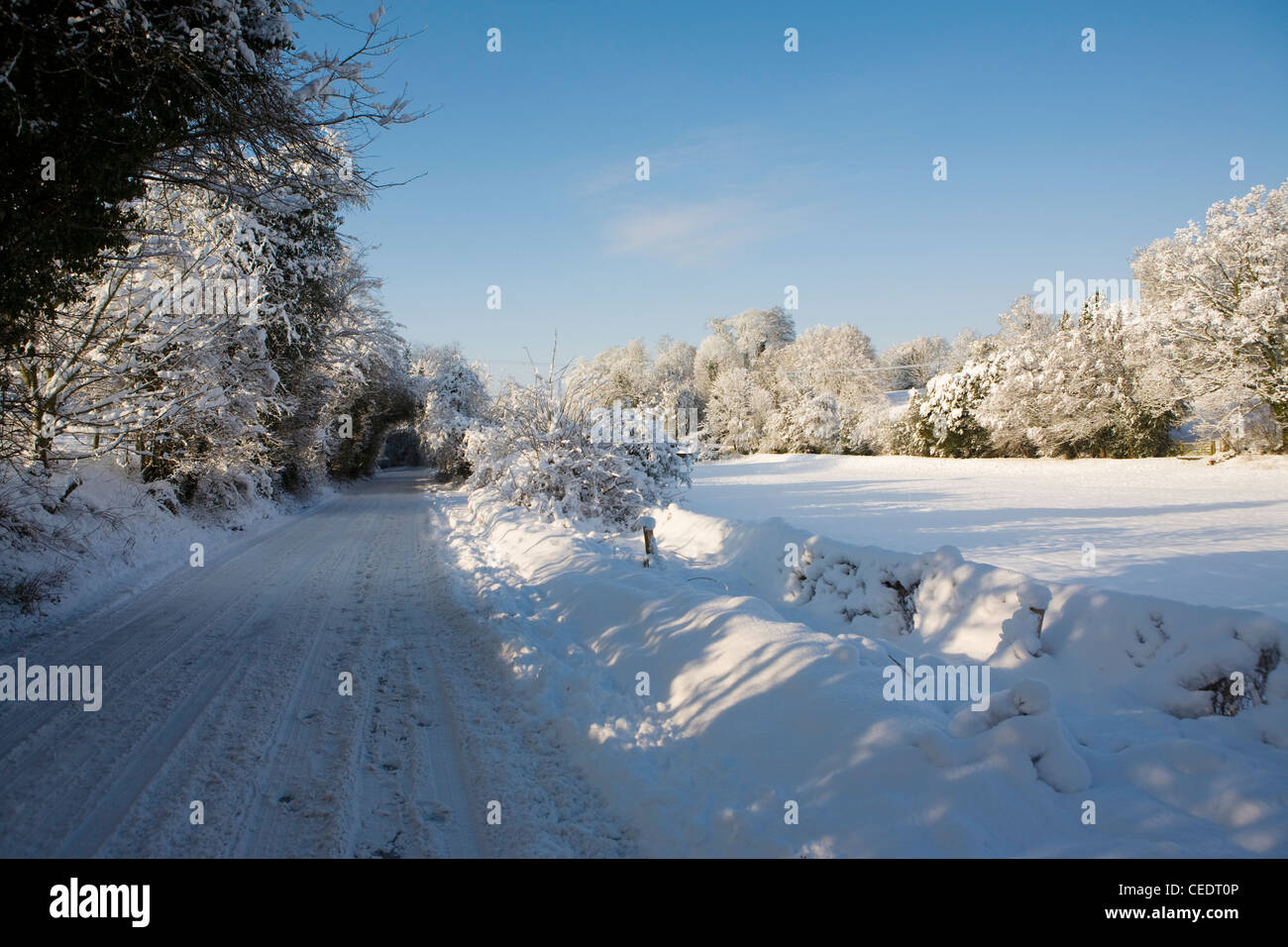 Romantic walk surrey hi-res stock photography and images - Alamy