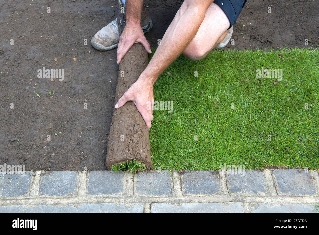 Laying garden turf hi-res stock photography and images - Alamy