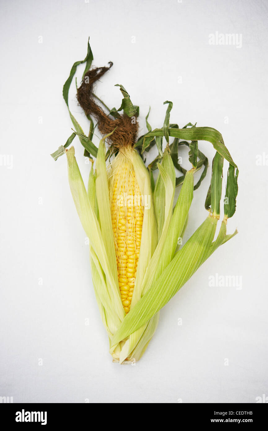 Corn cob hi-res stock photography and images - Alamy