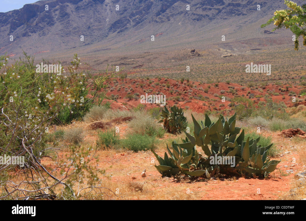 Hope valley nevada hi-res stock photography and images - Alamy