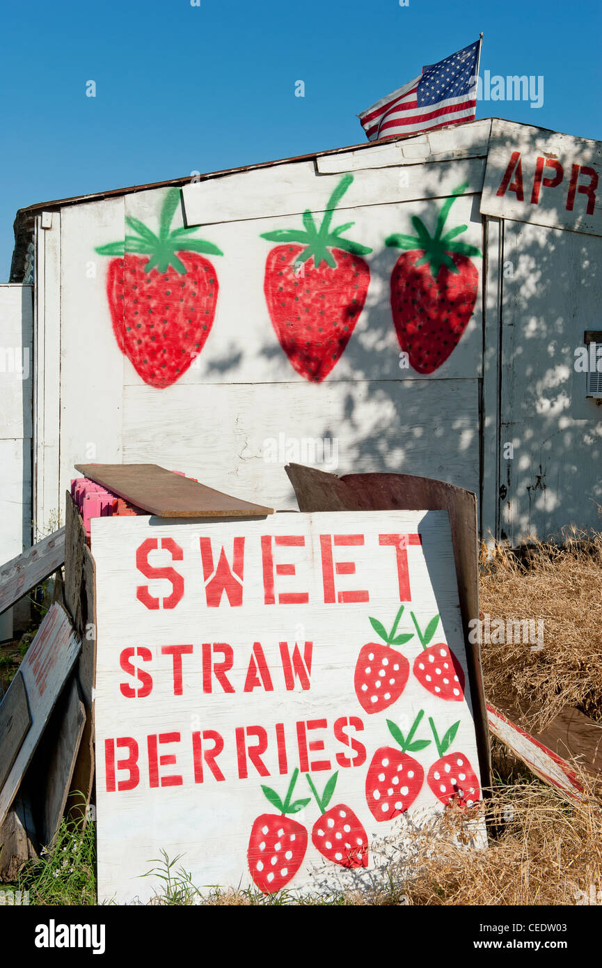 Roadside strawberry stall hi-res stock photography and images - Alamy