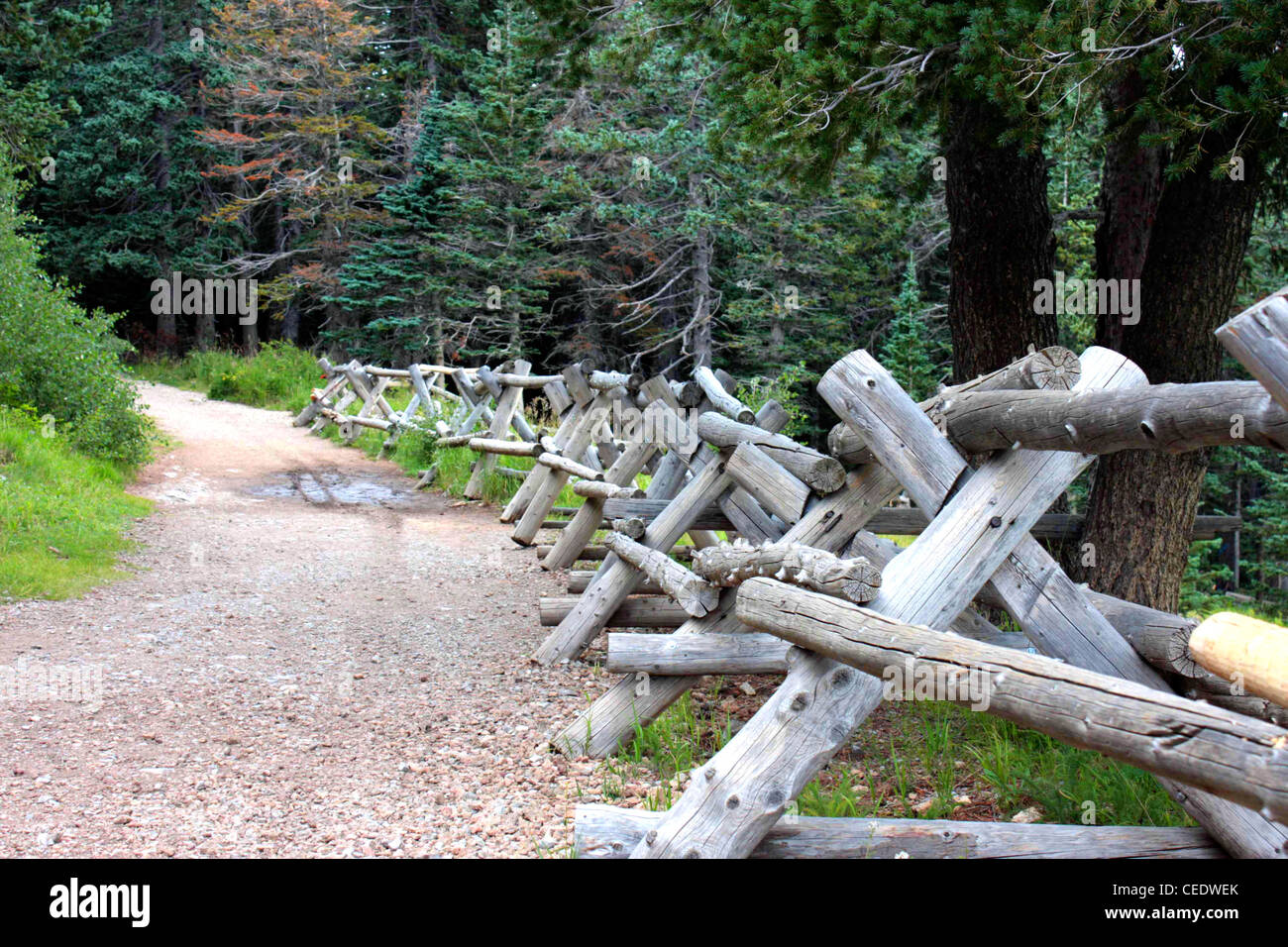 Frontier in the forest Stock Photo - Alamy