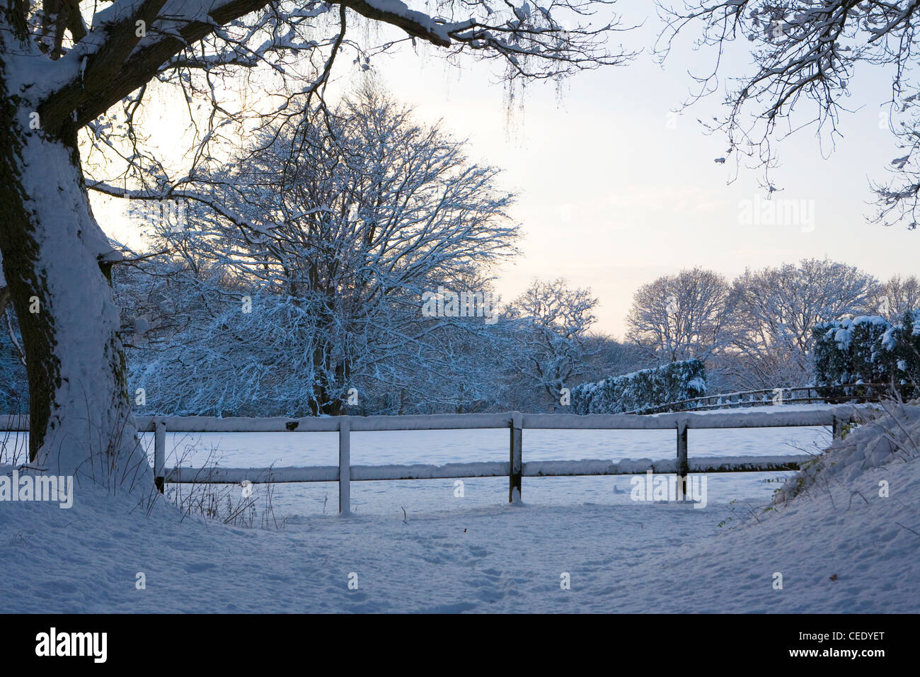 Romantic walk surrey hi-res stock photography and images - Alamy