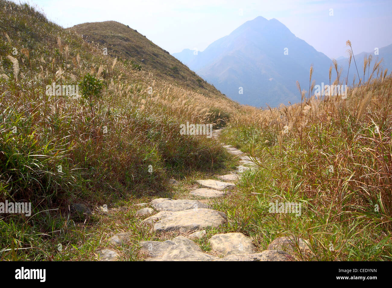 Stone path in the mountains Stock Photo - Alamy