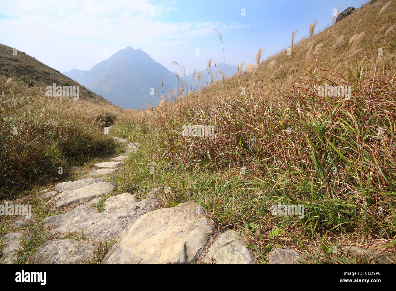 Stone path in the mountains Stock Photo - Alamy
