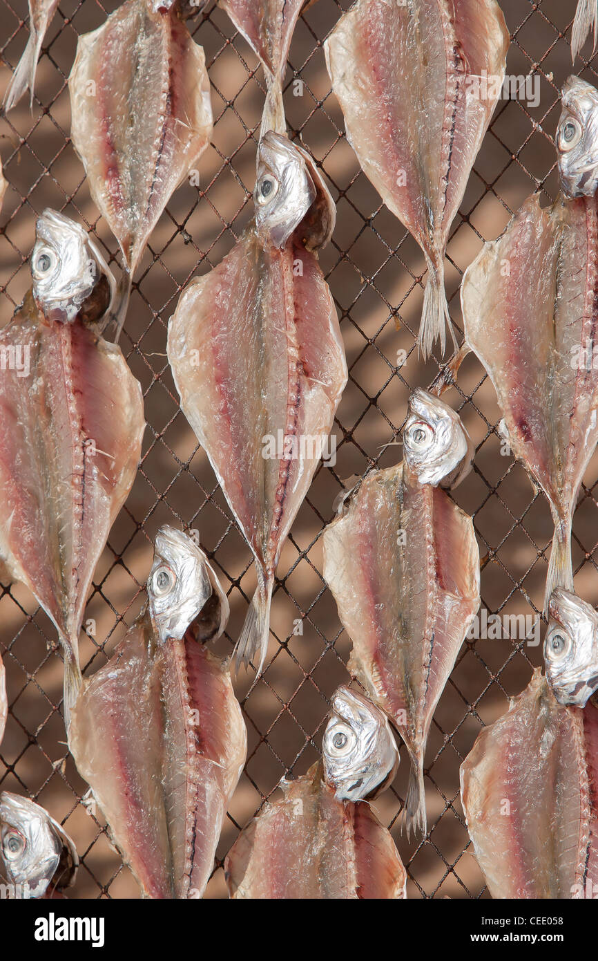 Traditional mackerel sun dried Stock Photo - Alamy