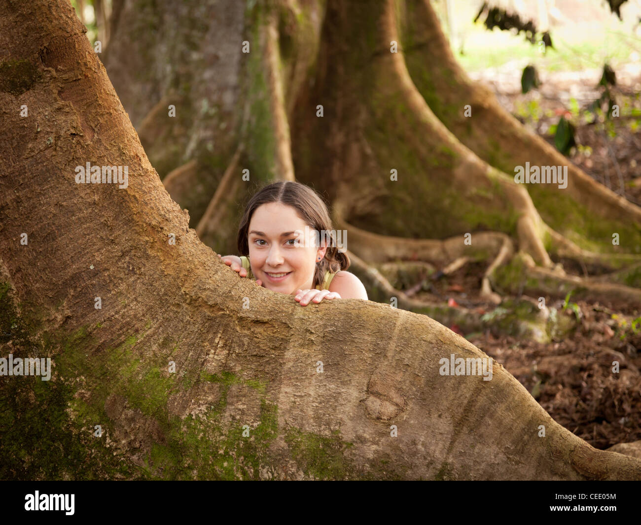 Girl looking from behind roots of the Moreton Bay fig tree Stock Photo ...