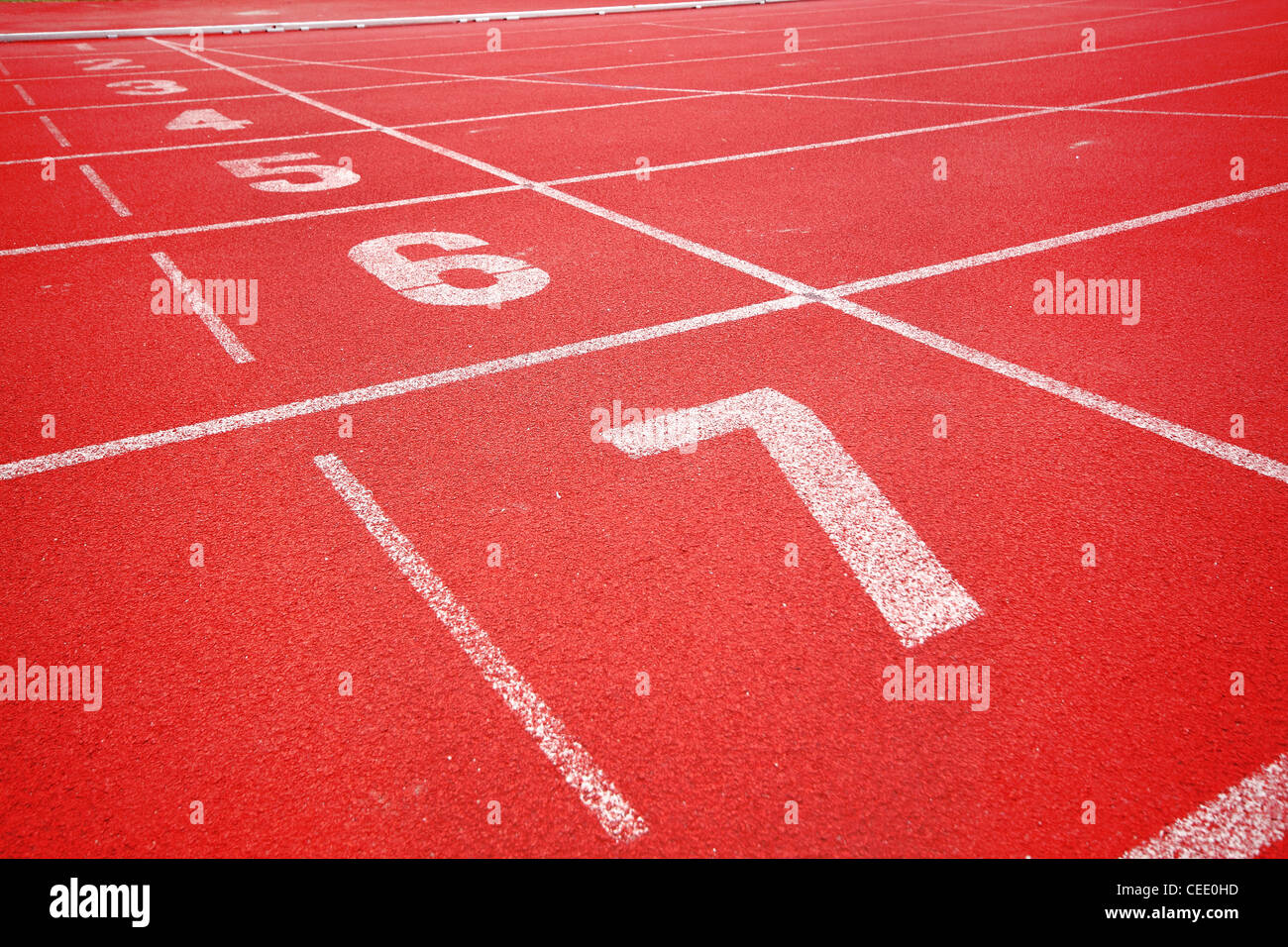Trail run finish hi-res stock photography and images - Alamy