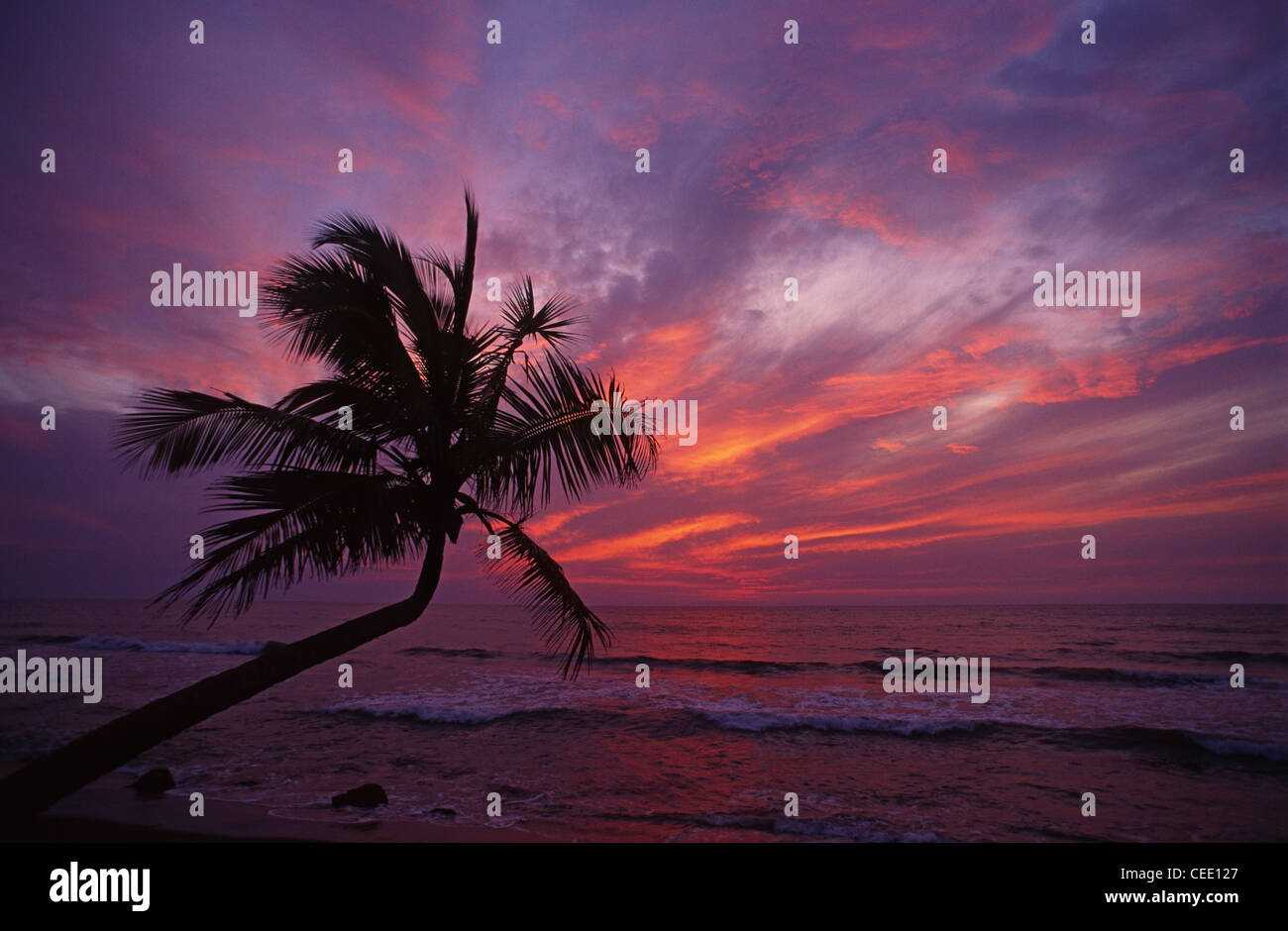 Kalutara beach sri lanka hi-res stock photography and images - Alamy