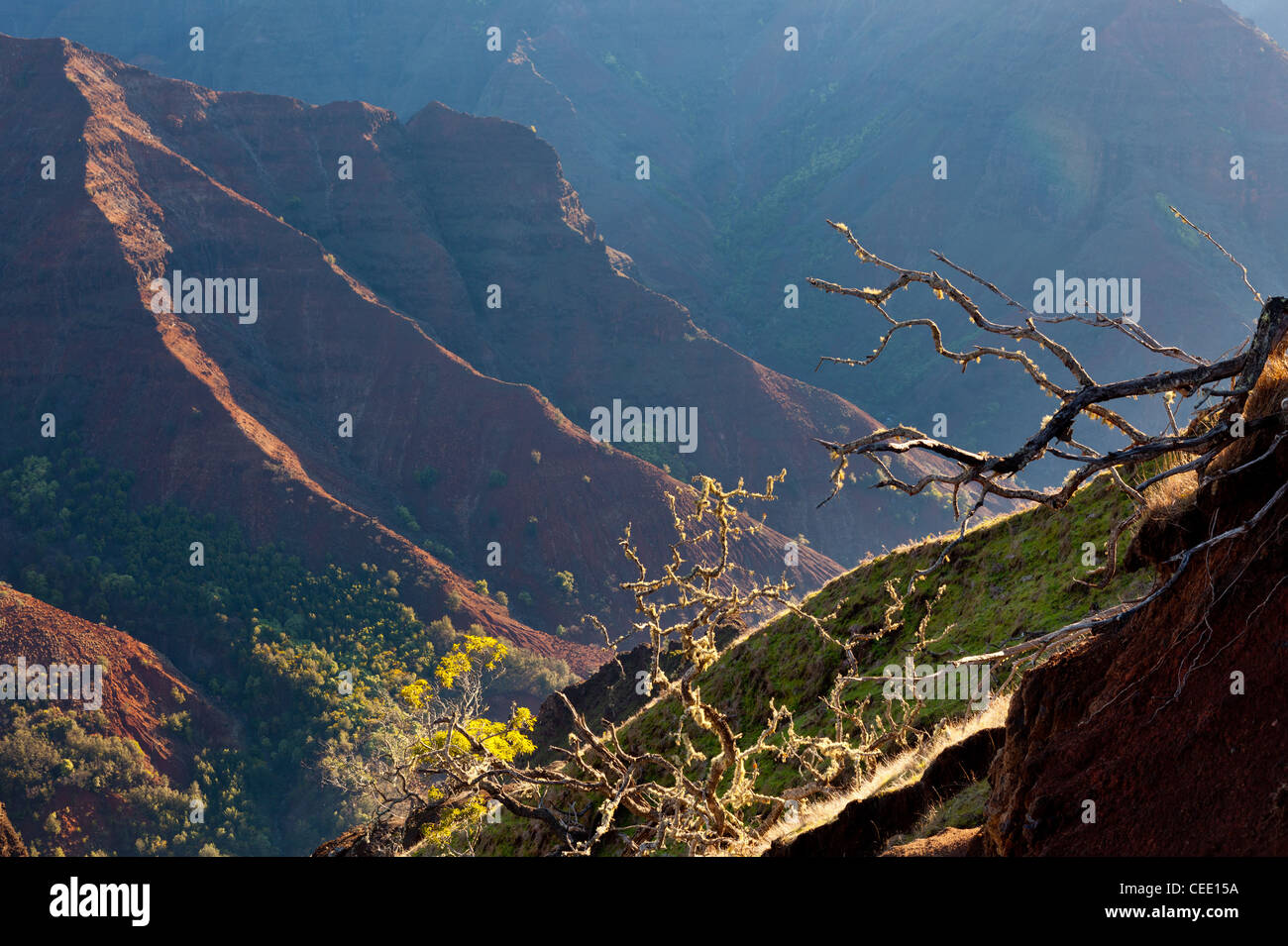 Early light illuminates the steep rock sides of Waimea Canyone on Kauai ...