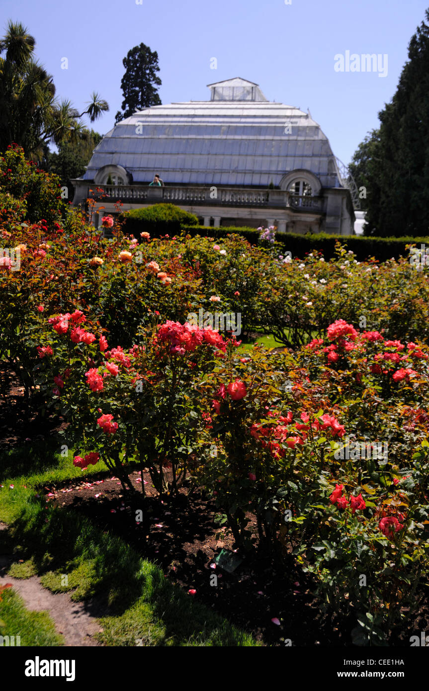 Cunningham house in the Rose garden part of the Botanic gardens, and ...