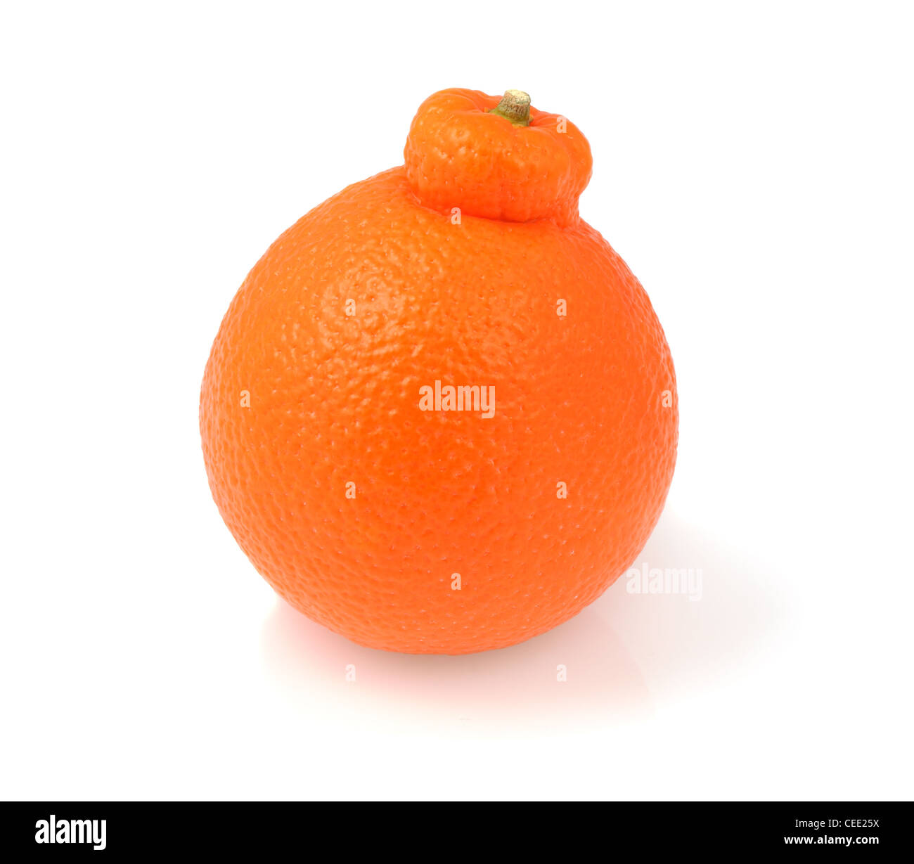 Tangelo fruit hi-res stock photography and images - Alamy