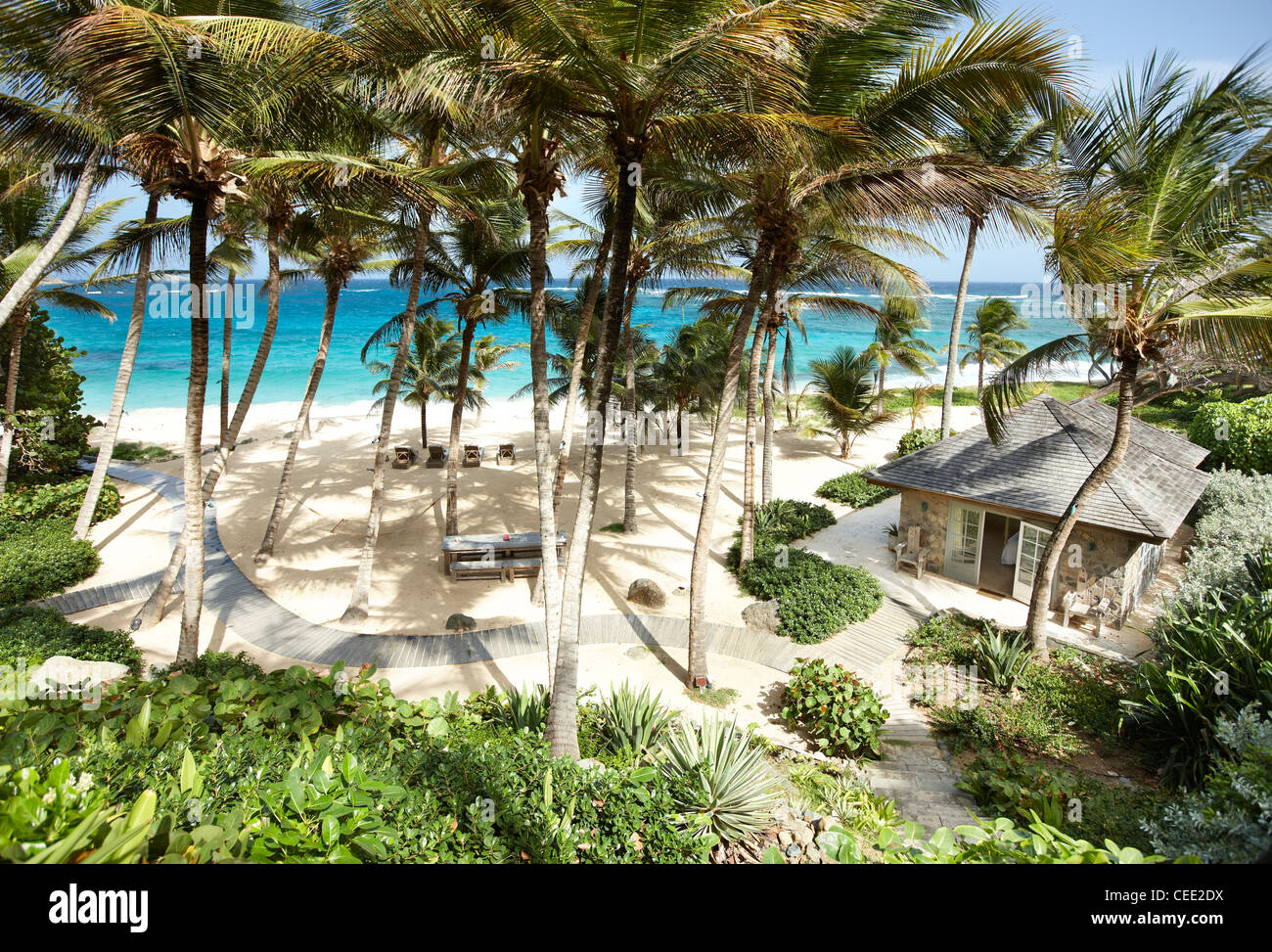 Elevated view of palm trees hi-res stock photography and images - Alamy