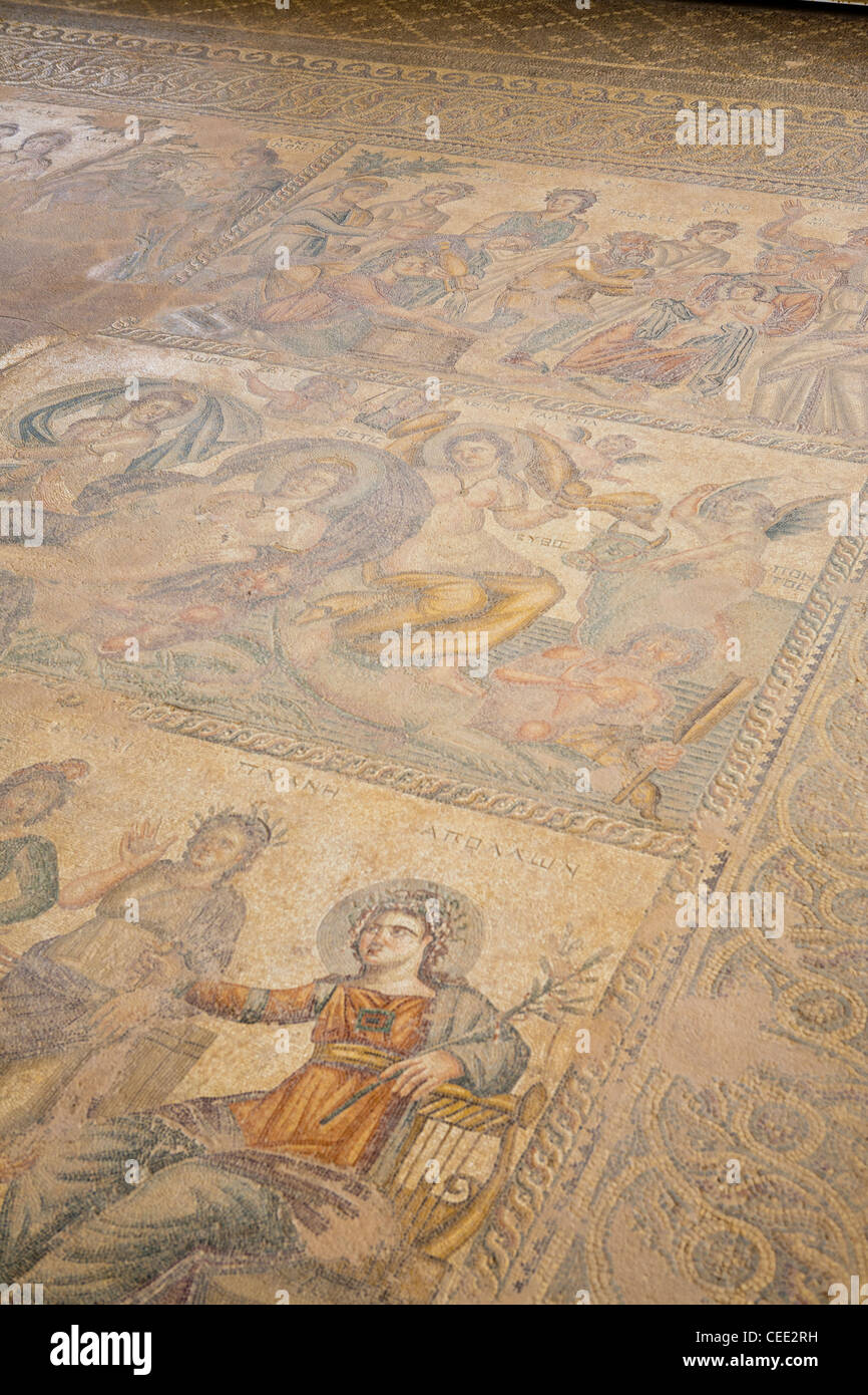 mosaics in the House of Theseus House of Dionysus, Tombs of the kings ...