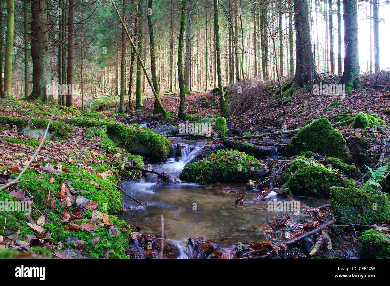 Belgium landscape hi-res stock photography and images - Alamy