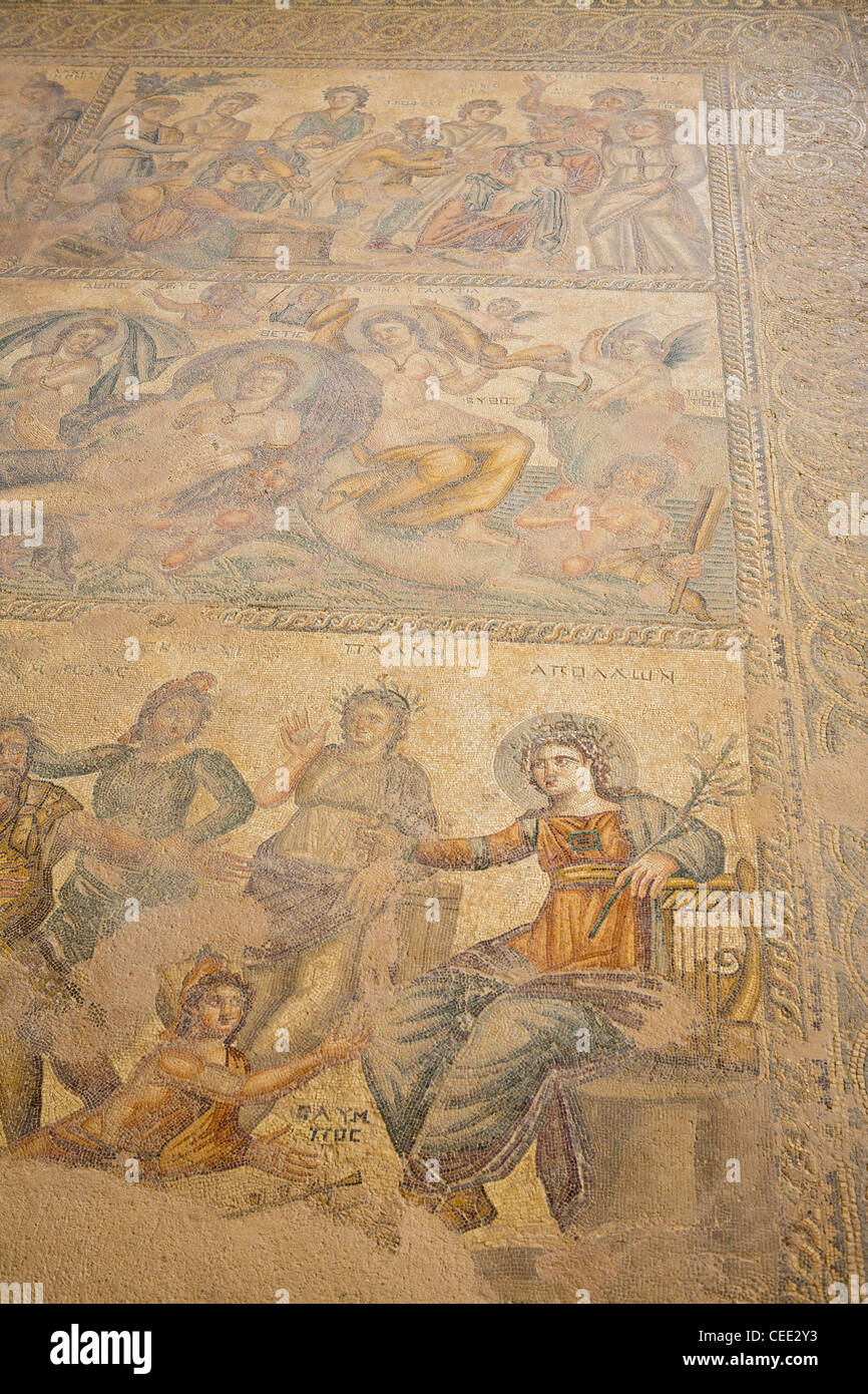 mosaics in the House of Theseus House of Dionysus, Tombs of the kings ...