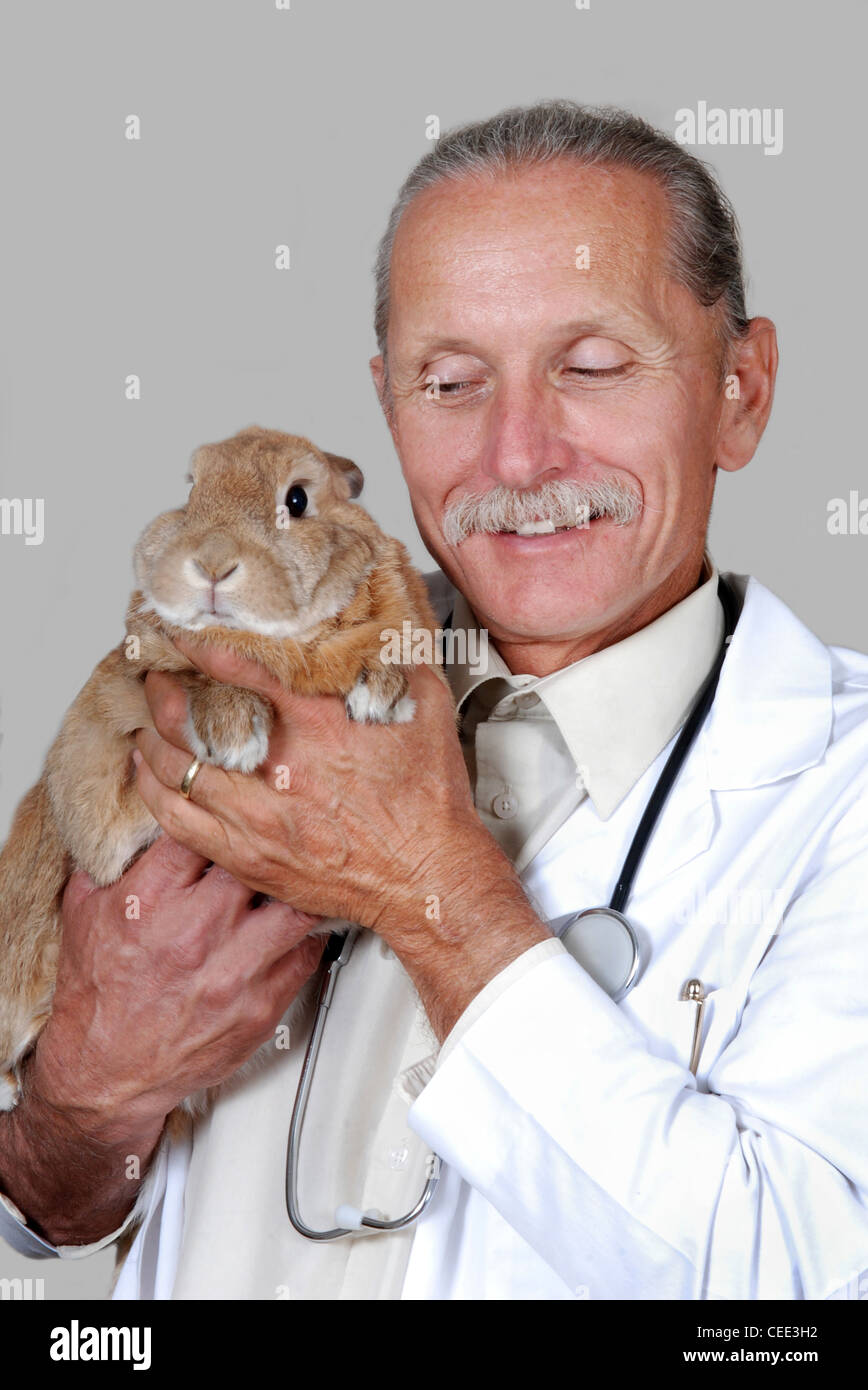 Smiling, friendly male veterinarian holding rabbit. Vet glancing ...