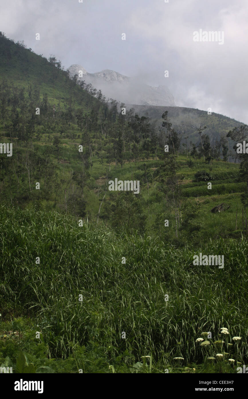 terraced farm fields below crater Mount Merapi Yogyakarta Indonesia ...