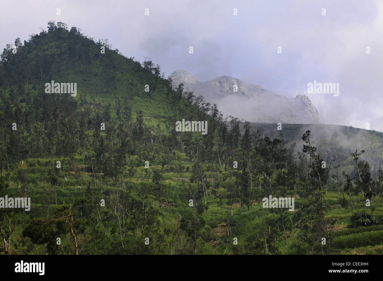 terraced farm fields below crater Mount Merapi Yogyakarta Indonesia ...
