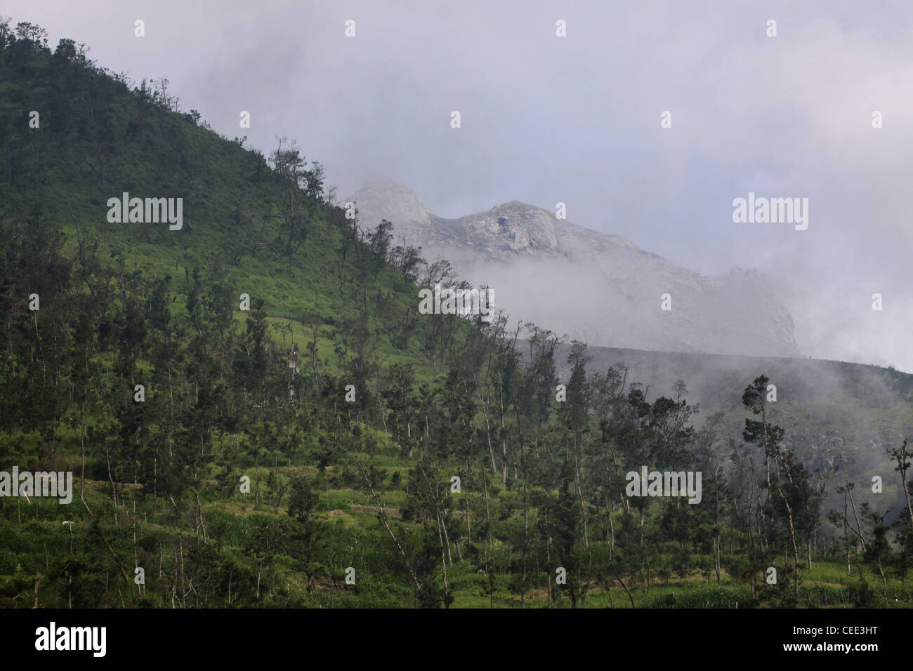 terraced farm fields below crater Mount Merapi Yogyakarta Indonesia ...