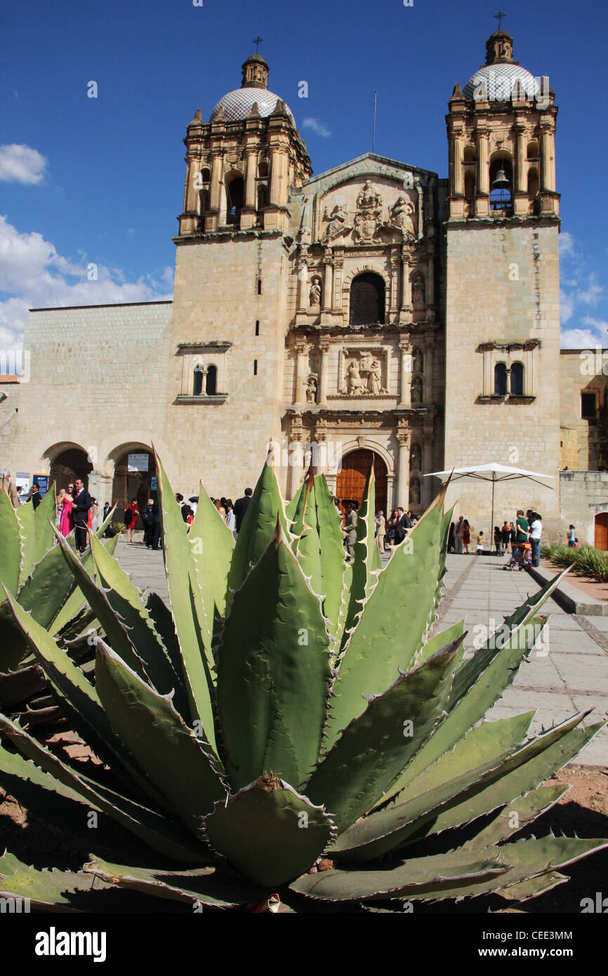 Different views of Oaxaca City. Mexico. Santo Domingo temple Stock ...