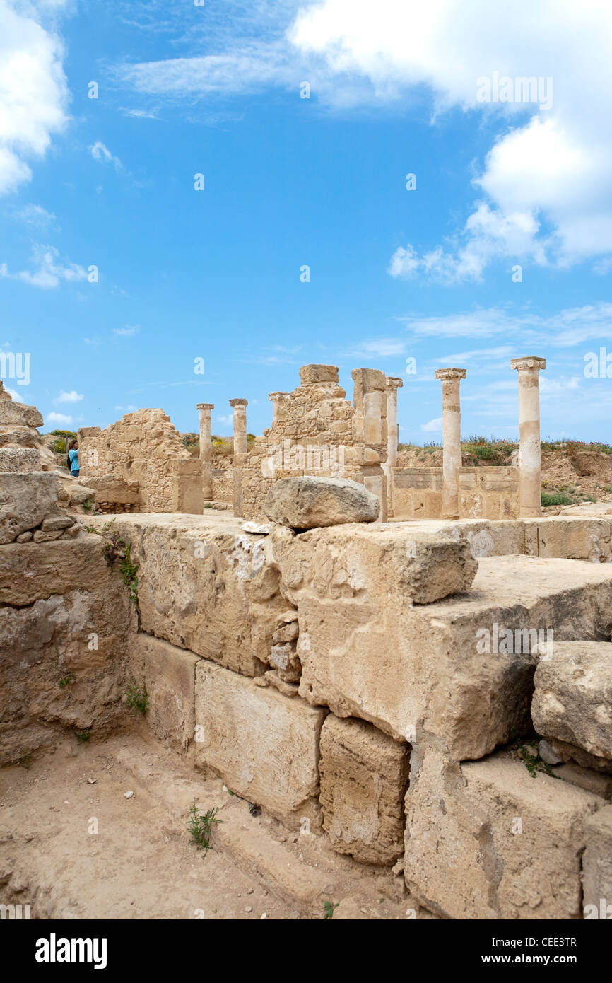 mosaics in the House of Theseus House of Dionysus, Tombs of the kings ...