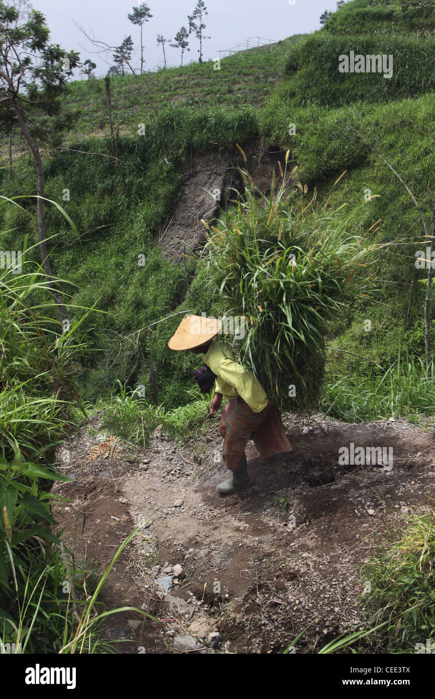Farmer Girl Hay High Resolution Stock Photography and Images - Alamy
