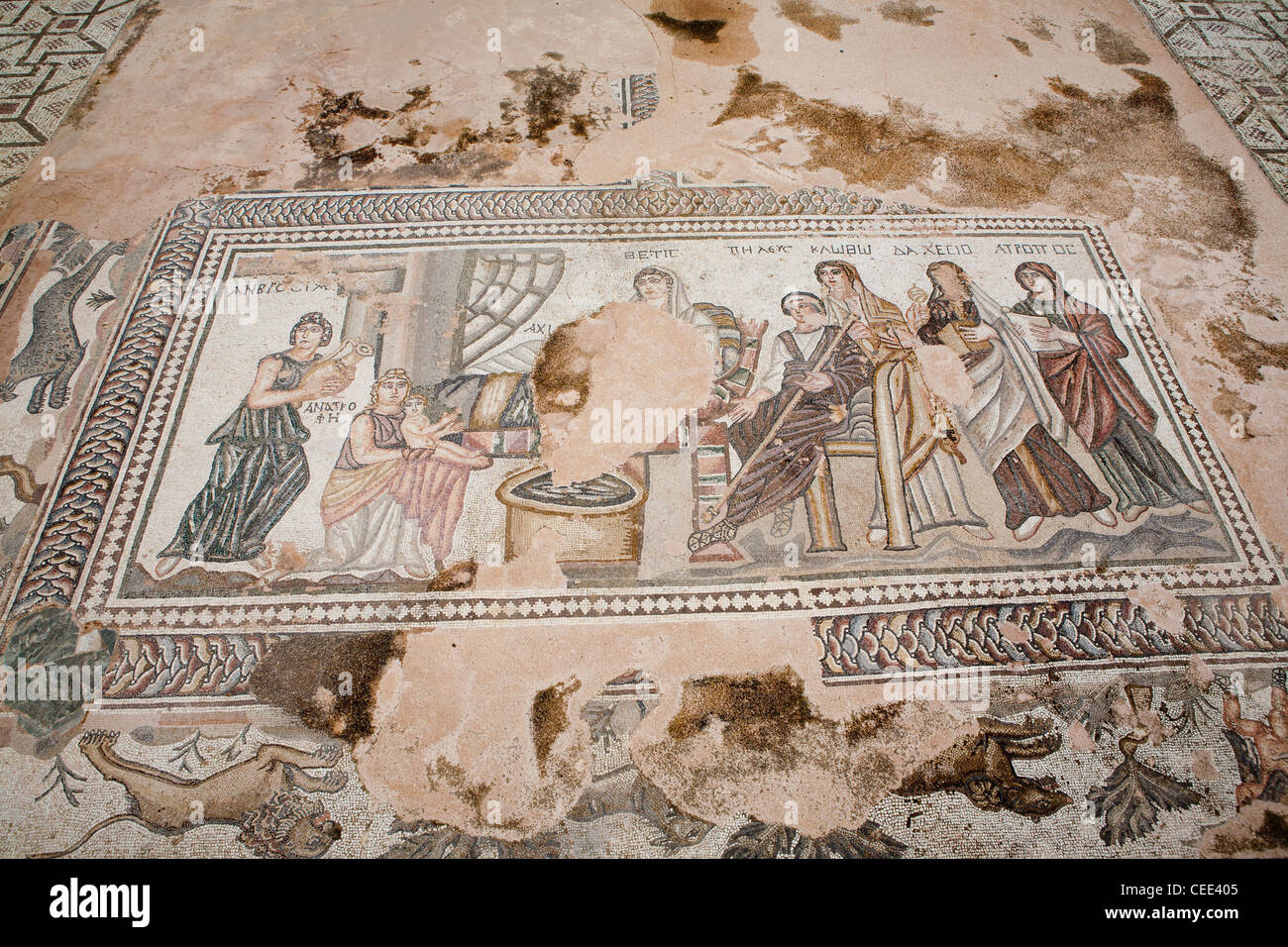 mosaics in the House of Theseus House of Dionysus, Tombs of the kings ...
